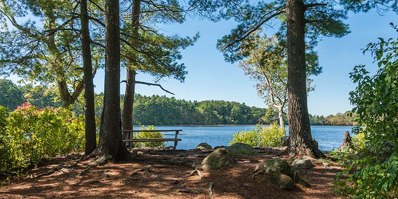 Nature-Based Activities | Rhode Island State Parks