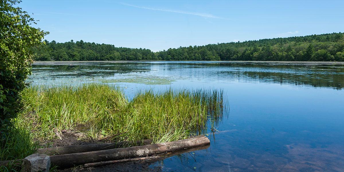 Arcadia Management Area | Rhode Island State Parks