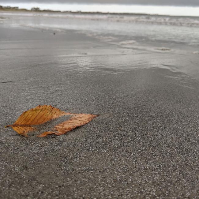 Welcome | Rhode Island State Parks